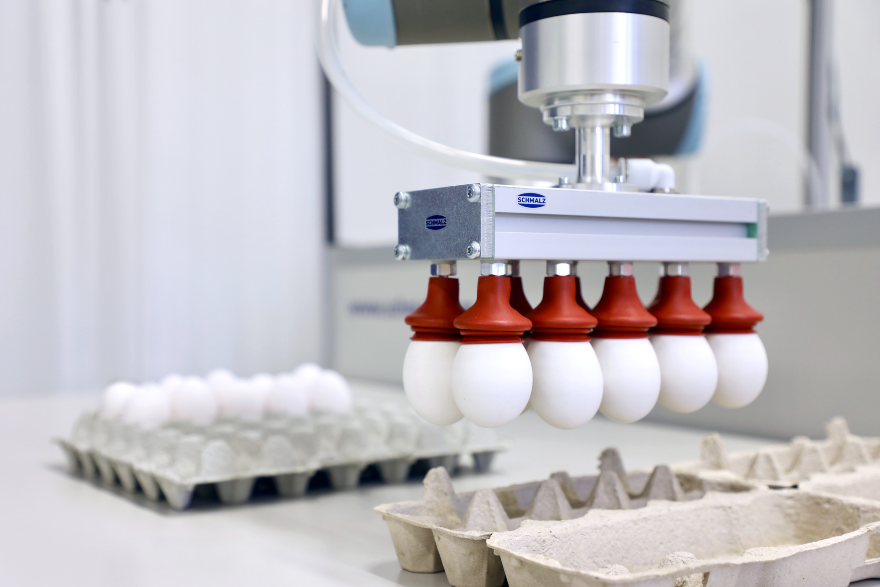 Balgzuignappen FG X, FGA X, FGB X voor handling van eieren ...